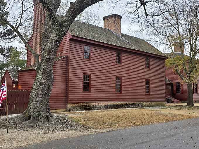 That tree has seen more American history than most textbooks, and it's not done watching yet.