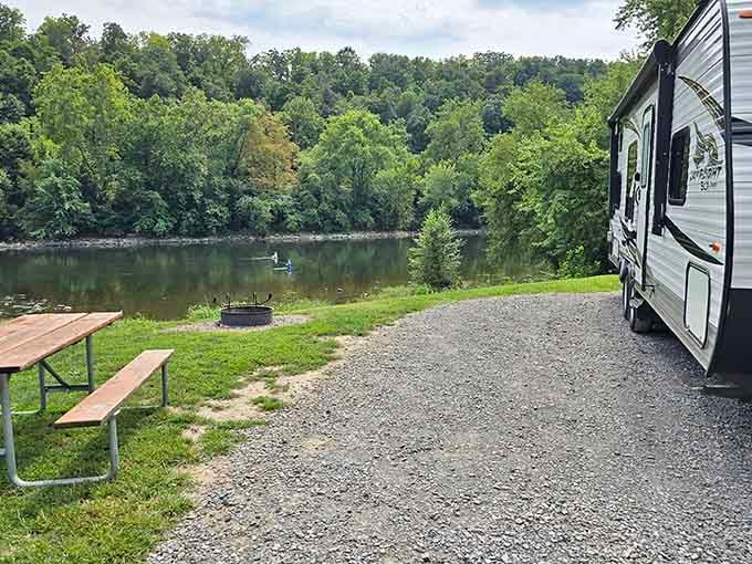 Spacious sites mean you can actually enjoy nature without becoming part of your neighbor's vacation slideshow.