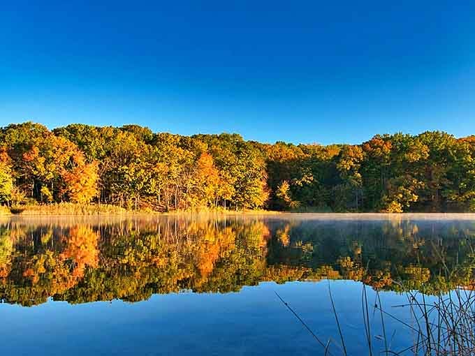 Nature's mirror: Hooks Creek Lake reflects autumn's finest work, proving New Jersey never needed a filter.