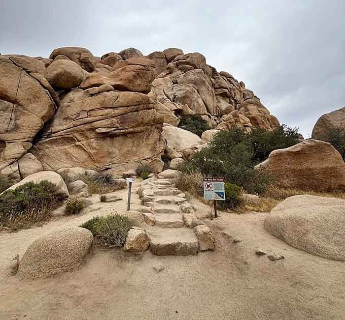 The trail welcomes you with open arms and perfectly placed stepping stones, because even nature appreciates good hospitality.
