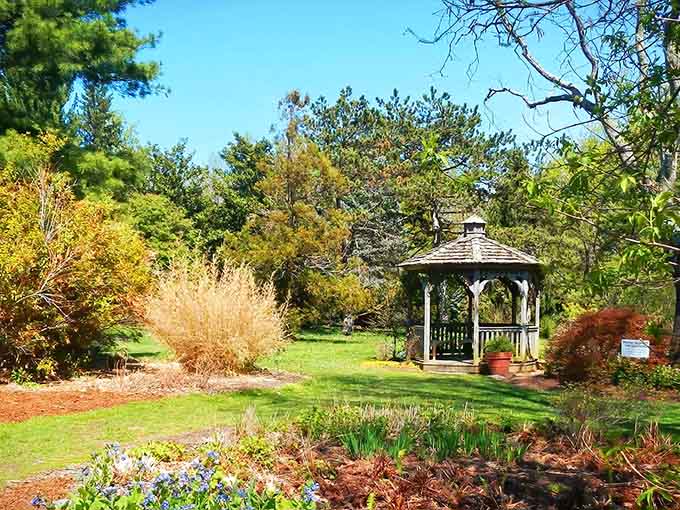 Nature's secret hideaway sits right in Baltimore, waiting to remind you what peace looks like.