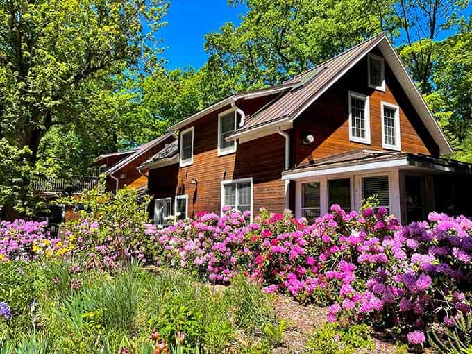 When Michigan decides to show off, it really commits. Goldberry Woods in full bloom is basically nature's standing ovation.