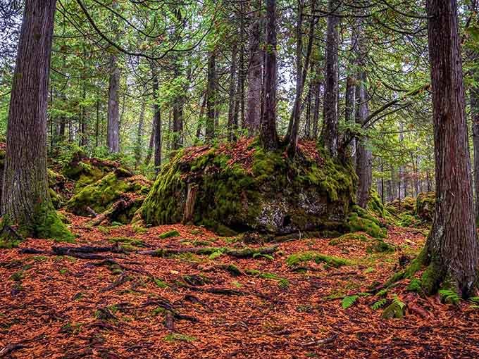 This Michigan fairytale is real, and the Bush Bay Trail in Cedarville is proof.