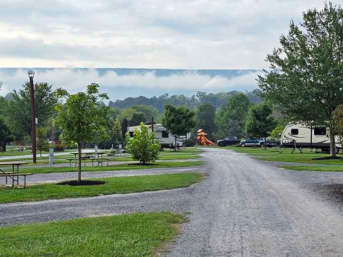 Spacious sites mean you can actually enjoy nature without becoming part of your neighbor's vacation slideshow.