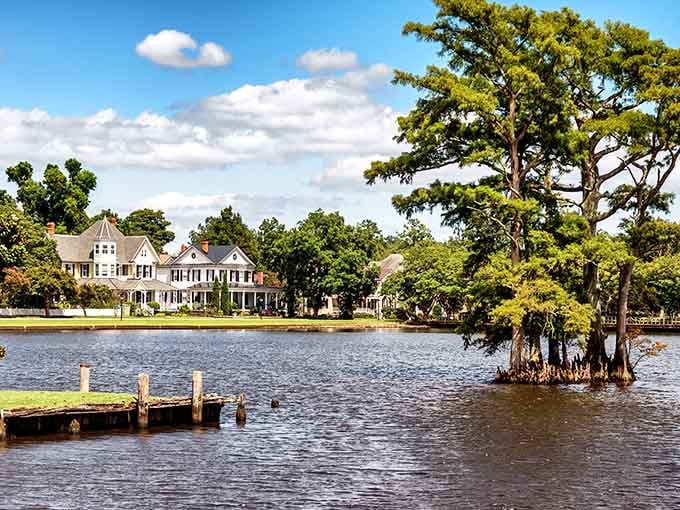 Those cypress trees rising from the water aren't just scenery; they're North Carolina's way of showing off shamelessly.