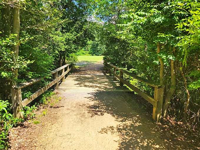 Parvin State Park's welcoming sign says it all: nature's best-kept secret is finally ready for its close-up.