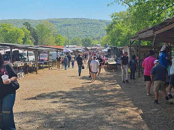 Mountains meet marketplace in this scenic setting where bargain hunting comes with genuinely breathtaking views as a bonus.