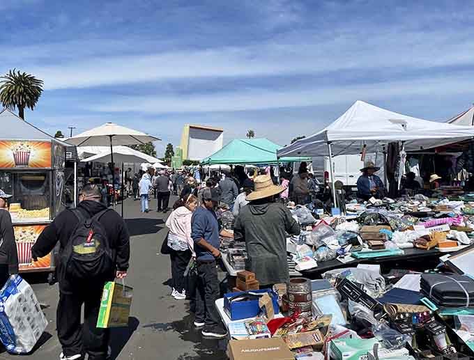 The treasure hunt begins where asphalt meets ambition, and every parking spot holds infinite shopping possibilities.