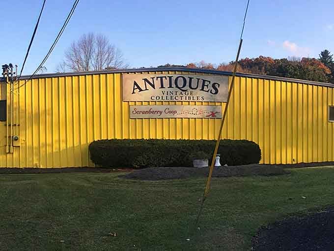 That bold yellow exterior isn't shy, and neither are the treasures waiting inside Scranberry Coop.