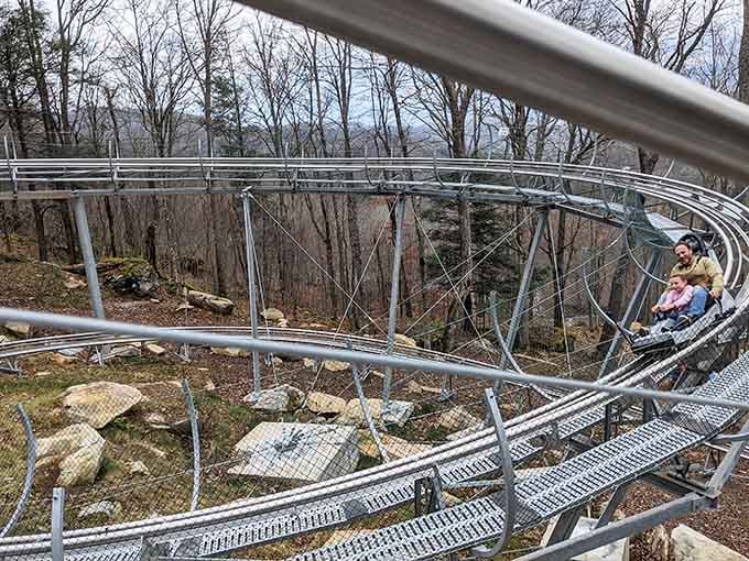 That gleaming track snaking through the trees is your invitation to temporary insanity, mountain style.