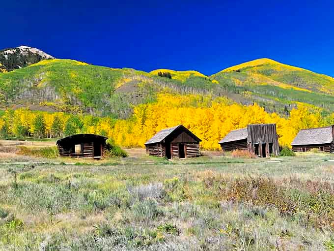 When fall decides to show off, this is what happens: nature's own gold rush painted across the mountains.