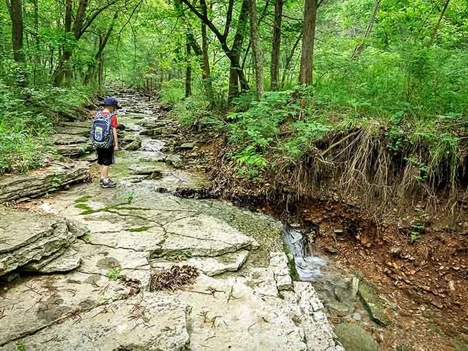 This Missouri trail near Pineville is serving up more waterfalls than miles, and we're absolutely here for it.