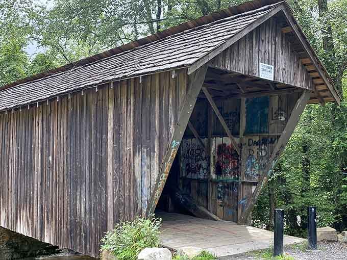 This weathered wooden beauty has been standing since 1895, and honestly, it's aging better than most of us.