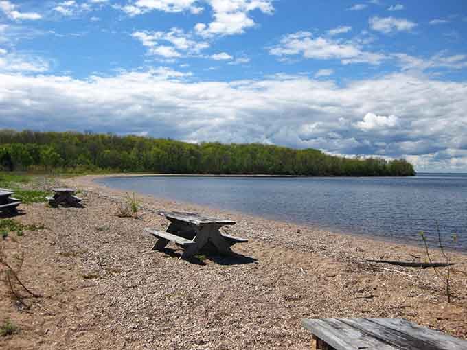 That moment when a simple picnic table becomes the best seat in the house for nature's daily show.