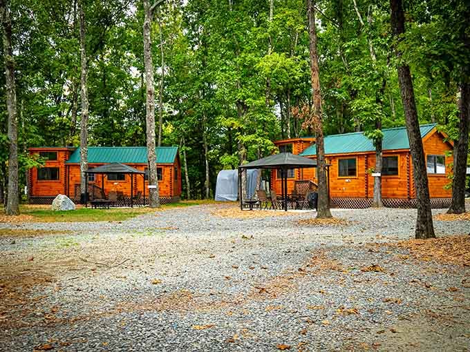 Those green roofs aren't just pretty, they're your ticket to sleeping under stars without actually roughing it.