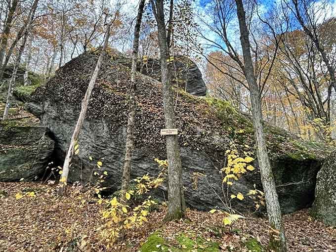 Fall arrives at Indian Council Cave and suddenly everything looks like nature hired a very talented interior decorator.