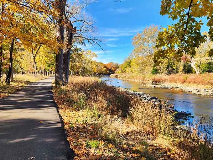 Autumn along Salt Creek paints the perfect picture, where golden leaves meet flowing water in nature's masterpiece.