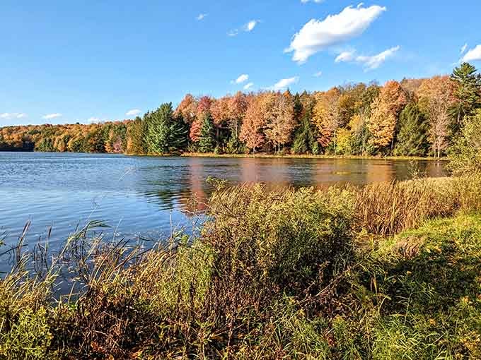 Fall at Hills Creek Lake proves Pennsylvania never needed a filter to look this good.