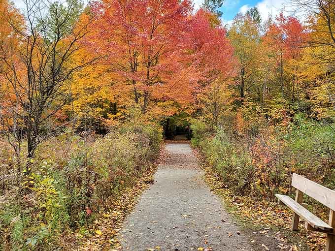 Fall colors so vivid along this trail, even your phone camera will feel like a professional photographer.