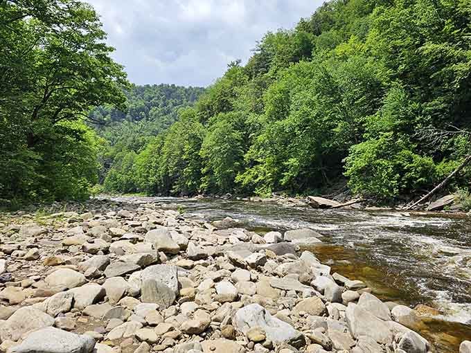 Loyalsock Creek doesn't care about your stress levels, and honestly, neither should you.