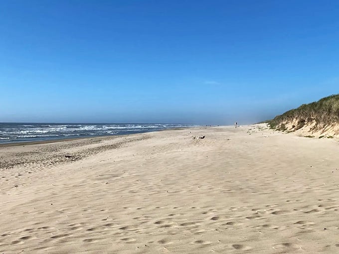 Miles of pale, soft sand stretch endlessly ahead, proof that Oregon's best secrets reward the curious traveler.