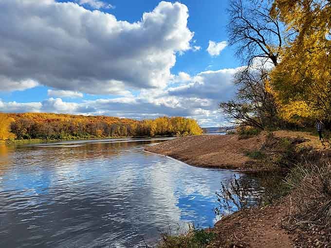 Nature painted this St. Croix River scene in gold and blue, and honestly, it's showing off.