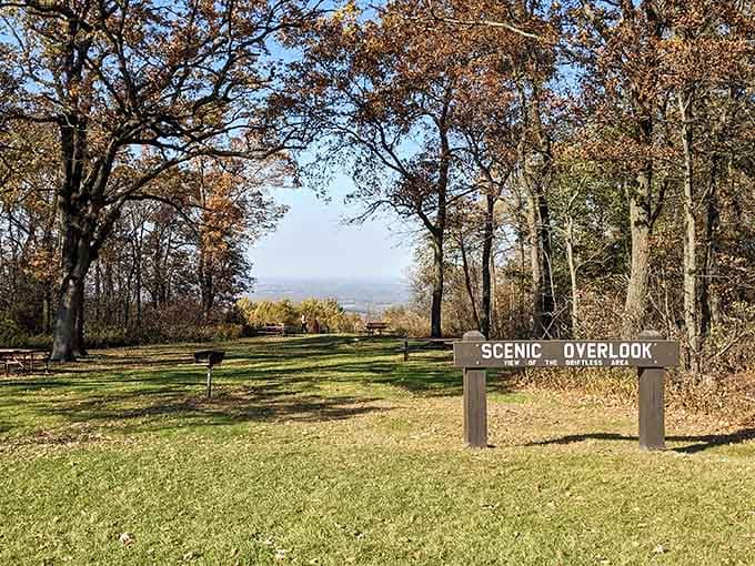 That wooden sign isn't just pointing at a view. It's pointing at a reason to leave your couch today.