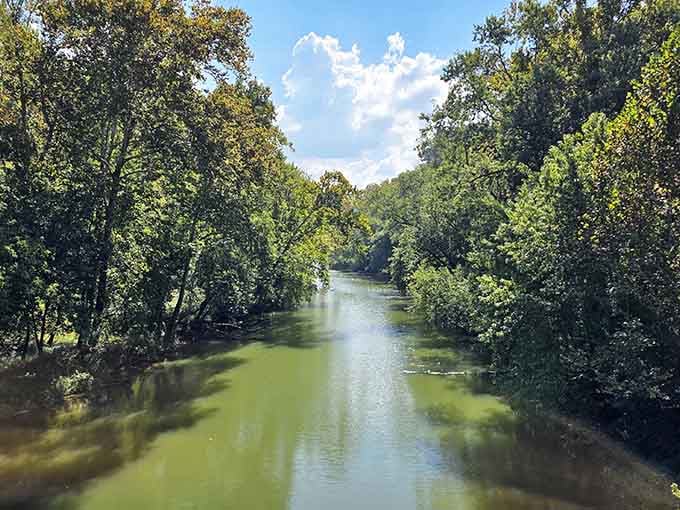 Peace on the water looks like this: a quiet boat drifting through nature, where only the surroundings speak.