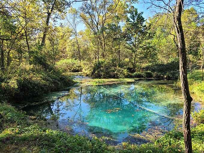 This isn't a screensaver, folks. It's actual Missouri water so clear you'll question everything you know.