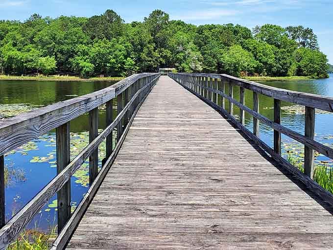 That boardwalk isn't just a path, it's an invitation to leave your worries somewhere back on dry land.