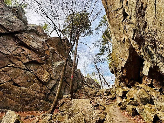 Purgatory Chasm State Reservation proves Massachusetts has been hiding something extraordinary this whole time.