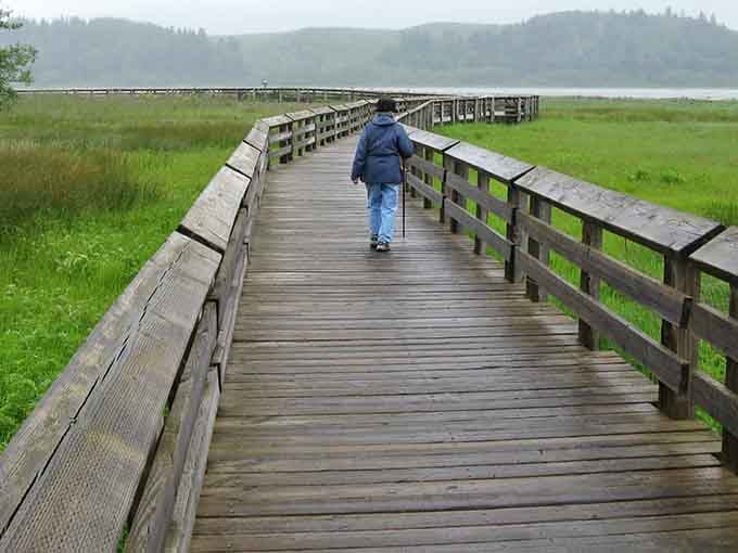 These sturdy boardwalks carry you over ecosystems most people only glimpse from highway overpasses at seventy miles per hour.