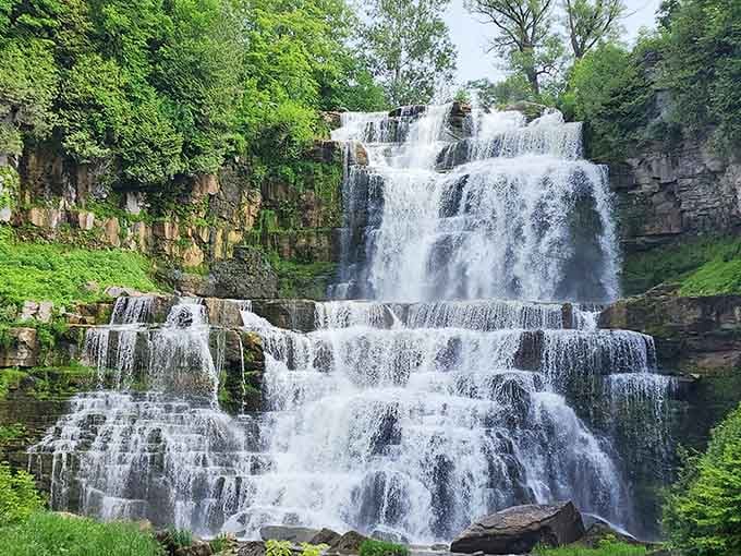 Nature's own staircase, and nobody had to call a contractor or wait for permits.