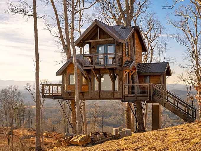 Bare winter trees can't hide what matters most: those jaw-dropping Blue Ridge Mountain views stretching for miles.