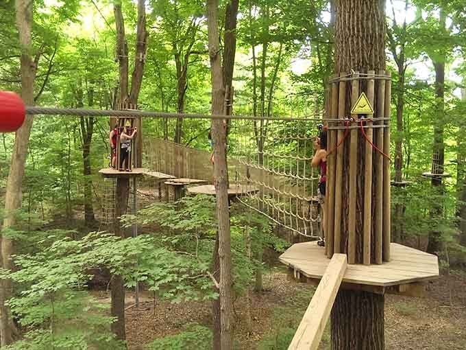 Rope bridges, towering trees, and pure Indiana forest magic await you high above the ground.