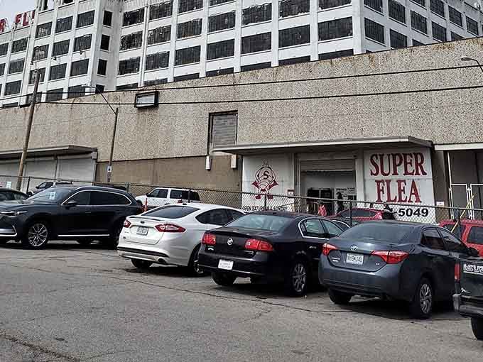 That packed parking lot tells you everything you need to know, treasure hunters are already inside.