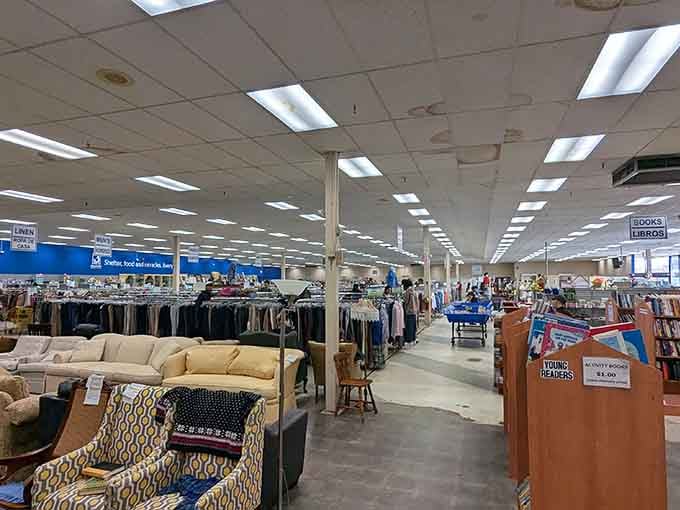 A thrift store so packed with possibility, even the ceiling tiles seem to be holding their breath in anticipation.