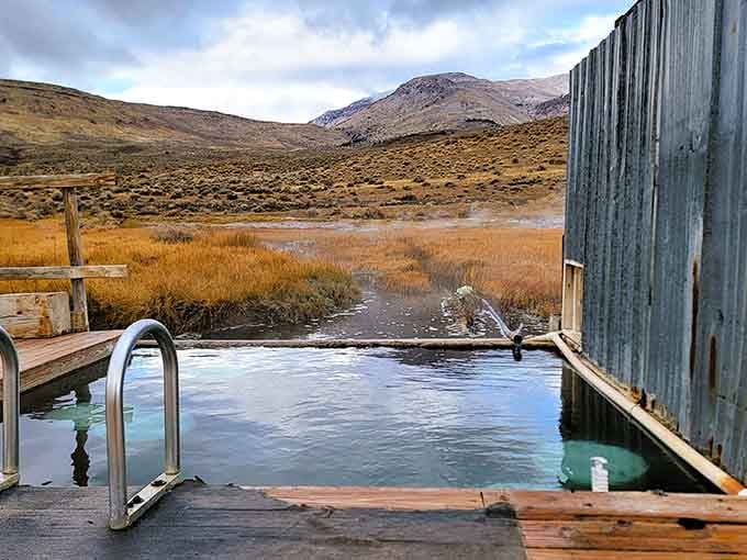 Two concrete pools, one corrugated metal wall, and a mountain view that absolutely refuses to apologize for showing off.