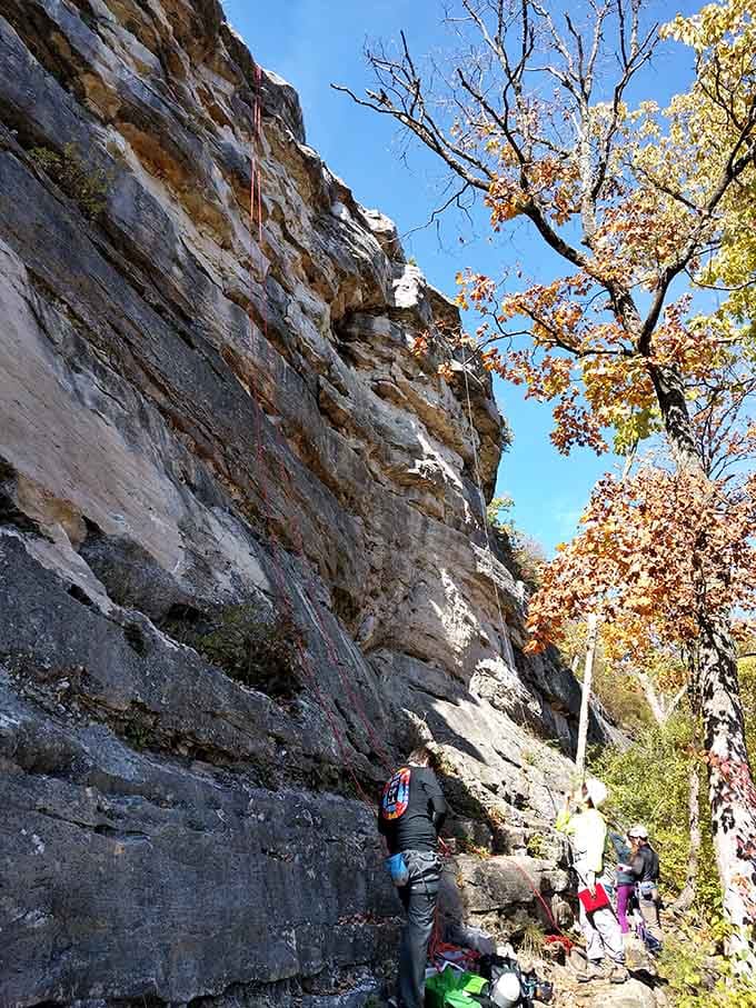 Climbers tackle the natural limestone faces at Capen Park, where autumn colors provide a gorgeous backdrop for your next outdoor adventure.