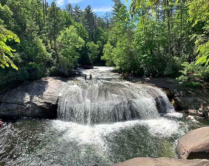 Nature's masterpiece, no filter needed. Gorges State Park proves North Carolina has been holding out on us.