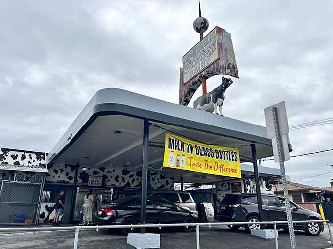 That fiberglass cow on the roof isn't just decor, it's a proud declaration that something genuinely special happens here.