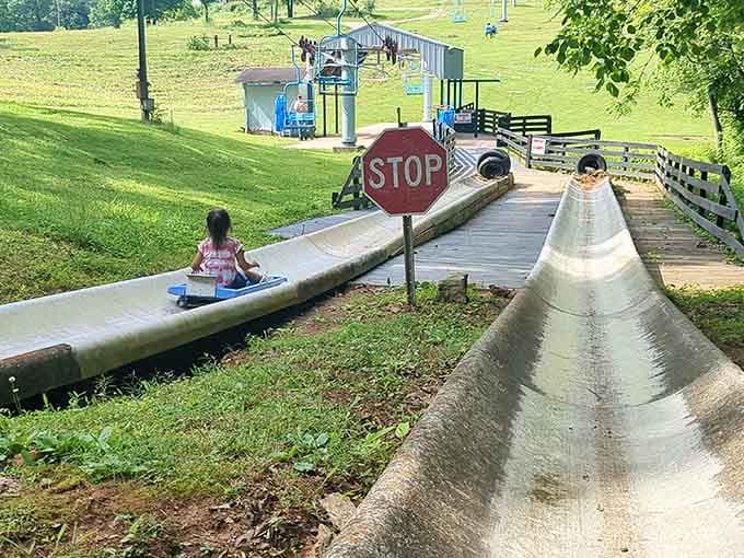 Two tracks, one hill, zero reasons to act your age at Kentucky Action Park.