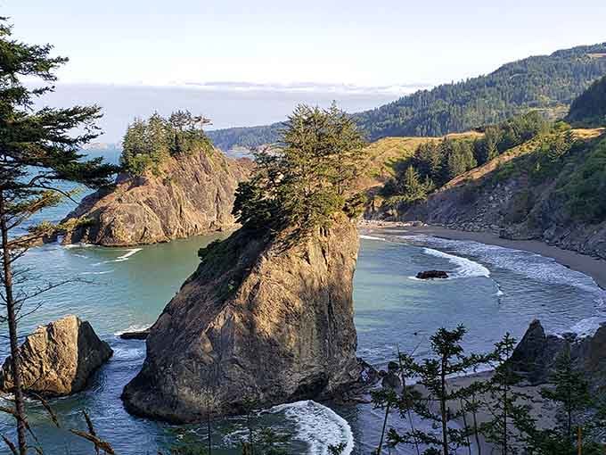 Sea stacks wearing tree hats like they're dressed for a very dramatic occasion. Only in Oregon.