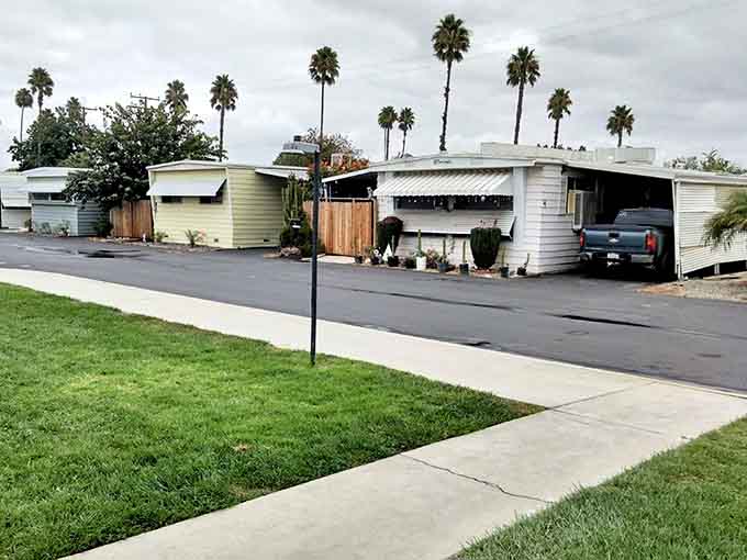 Palm trees, paved streets, and a pace of life your blood pressure will genuinely appreciate.