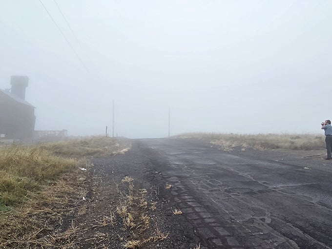 Fog rolls in like a special effect nobody ordered, turning this quiet road into pure mystery.