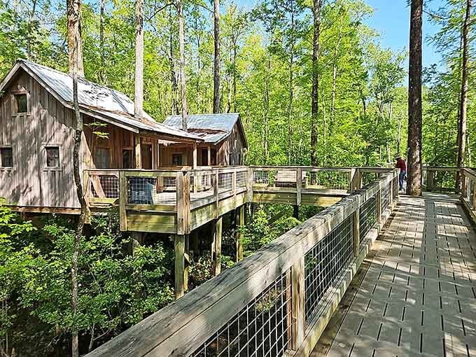 Those elevated walkways aren't just functional, they're your personal highway through the treetops where squirrels pay tolls.