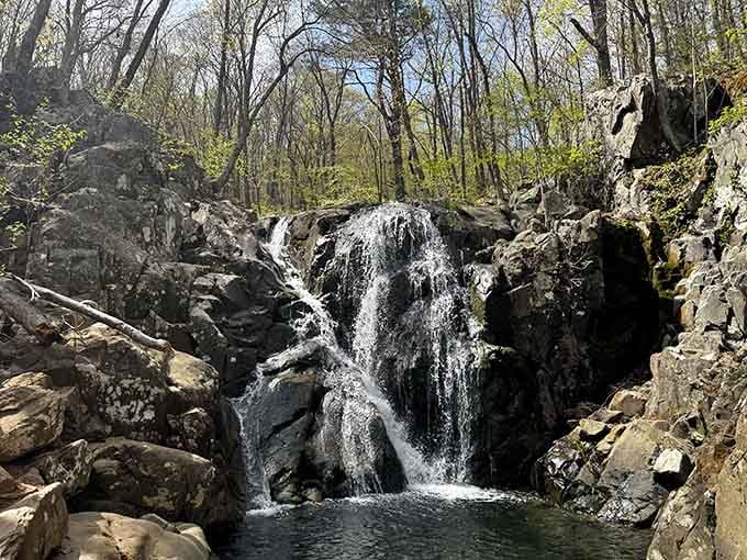 That swimming hole isn't going to admire itself. Rose River Falls delivers the kind of beauty that stops you mid-step.