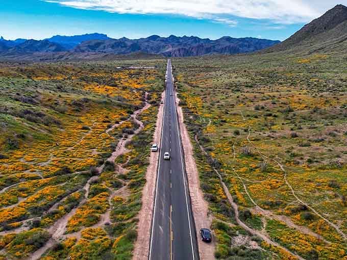 Ribbons of asphalt stretching toward distant peaks aren't just roads&mdash;they're your invitation to Arizona's best-kept secret.