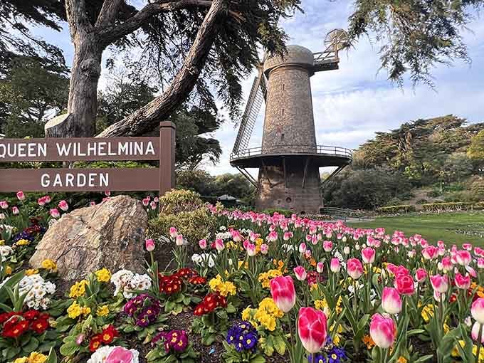 A Dutch windmill, tulips in every color, and zero admission fee. California, you've done it again.