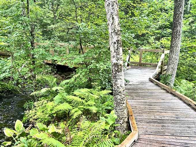 A boardwalk through ferns and flowing water. Nature built the scenery, and you just get to walk through it.